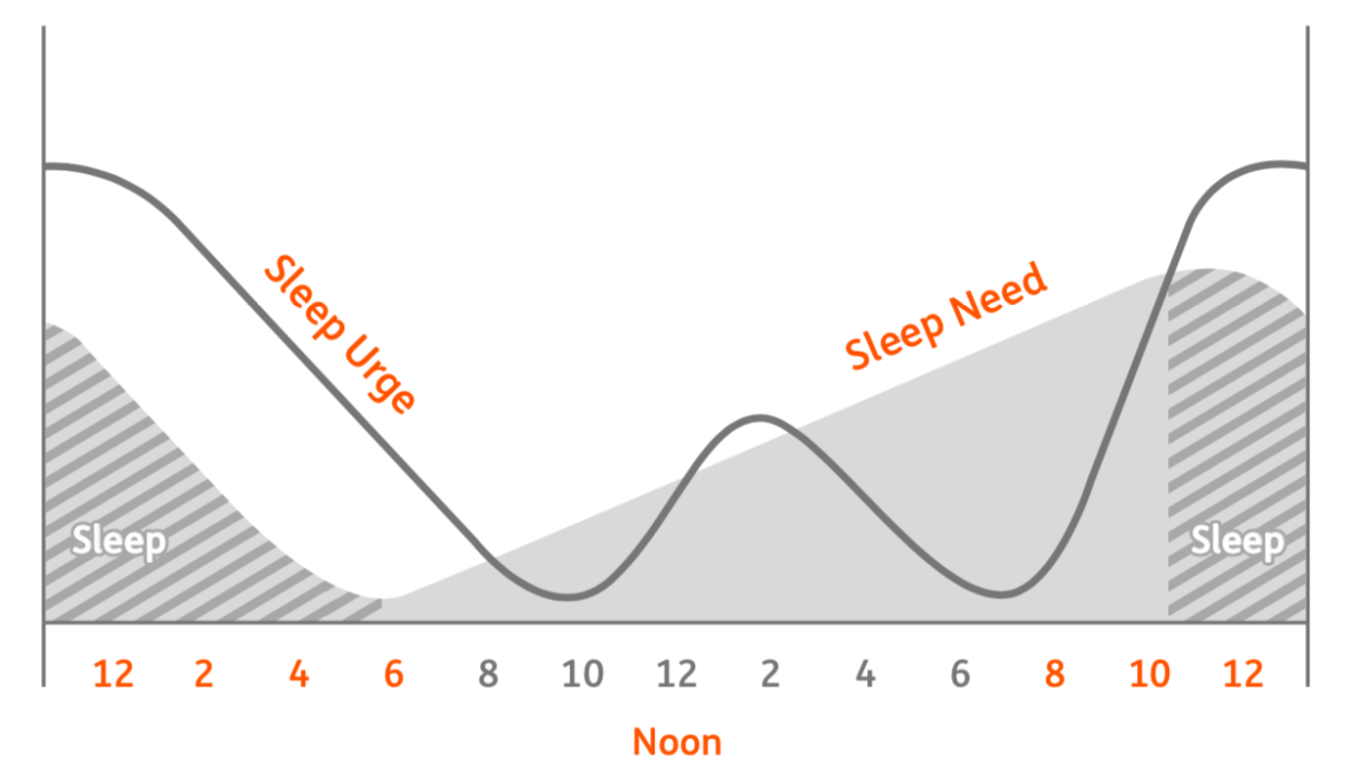 Sleep - Get the recovery you need